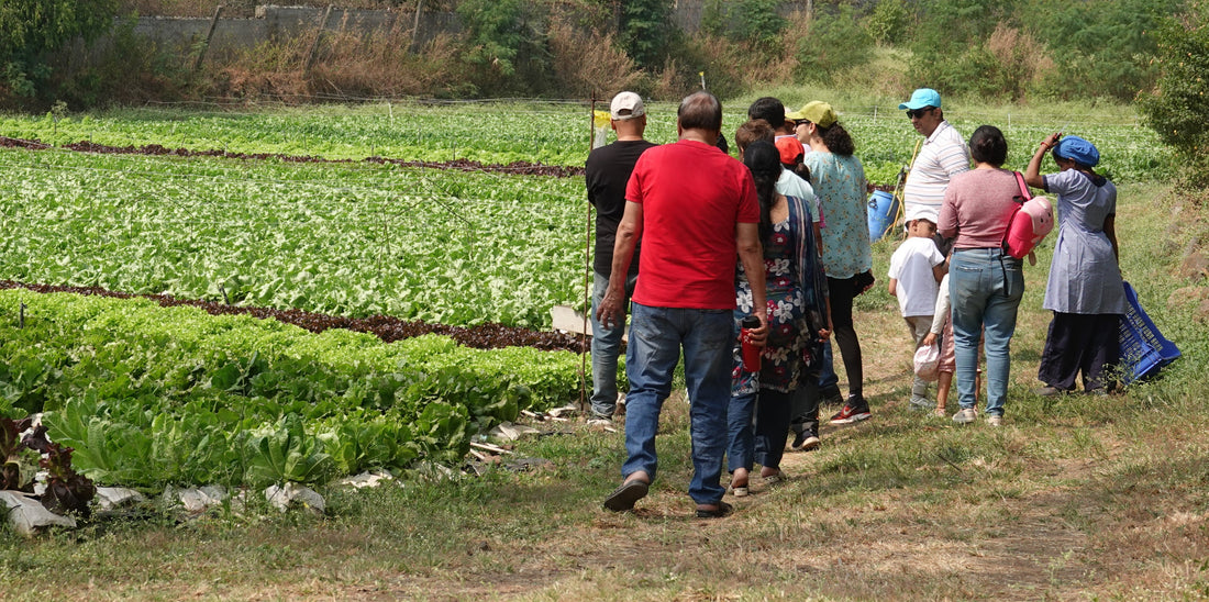 GreenTokri Farm Tour