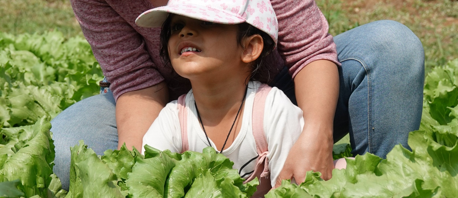 GreenTokri Farm Tour